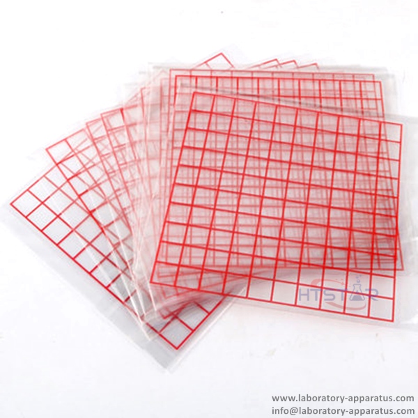 Student Area Measurer Transparent Graph Plastic Primary School ...